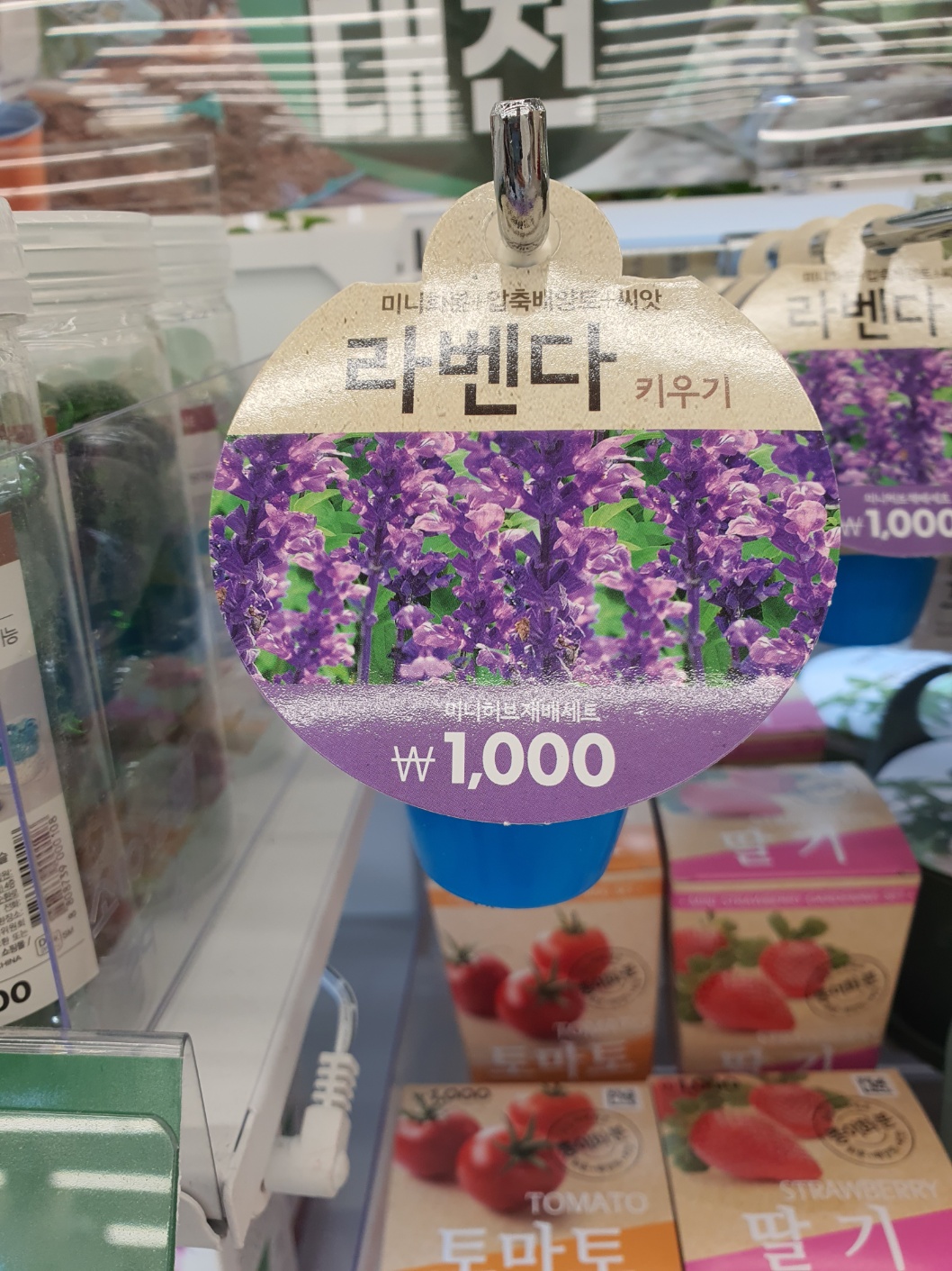 하남 스타필드 다이소 (신세계 백화점 지하) – 다이소중 가장 넓고 쾌적 - Lynny House