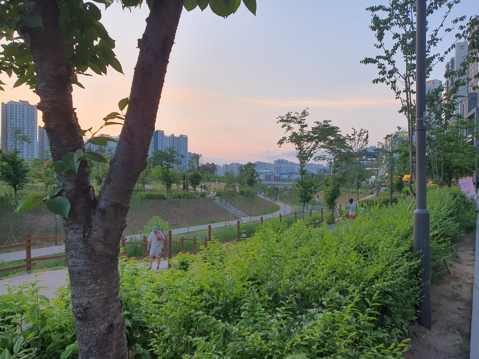 반치앙마이 – 미사역 푸팟퐁 커리 맛집 (태국안가도 맛 똑같음) - Lynny House