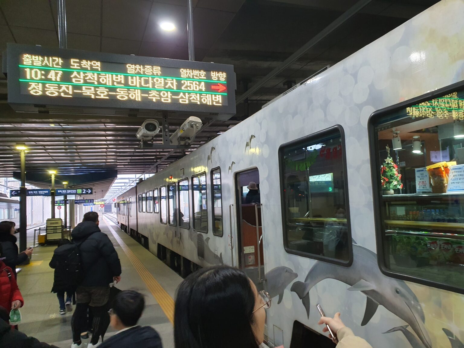 동해바다열차 2023년 12월 25일 운행 종료 - Lynny House